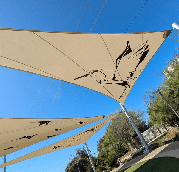 Road trip to art-walk in San Antonio – Postcards from Barton Springs